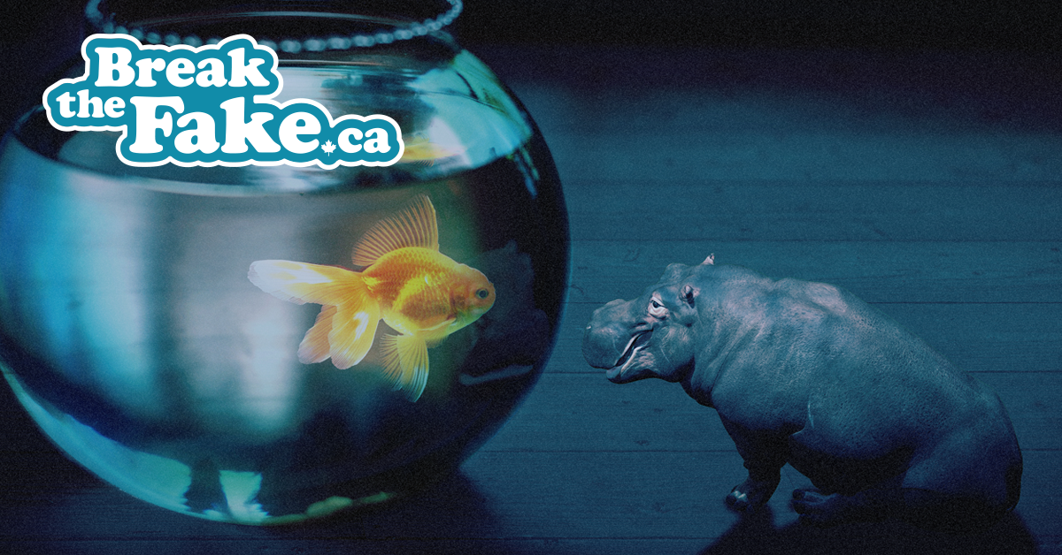 Break the Fake | MediaSmarts